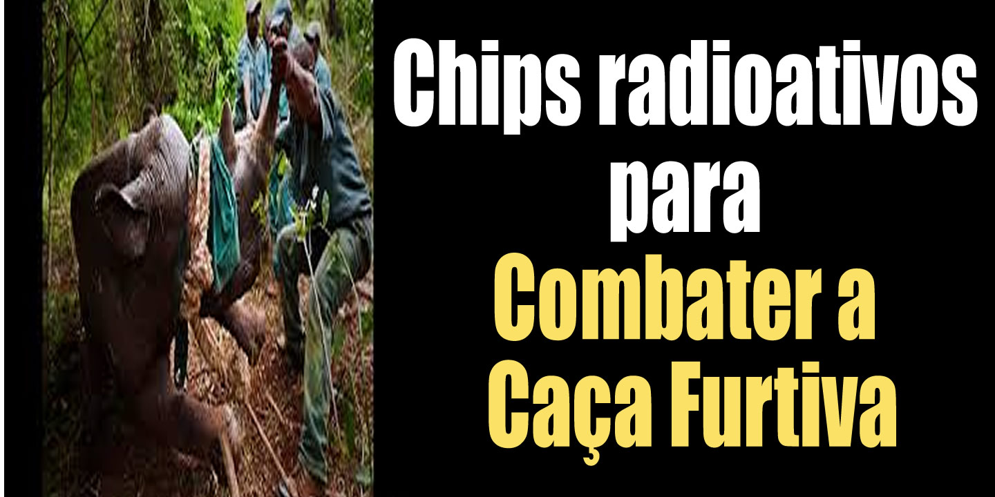Chips radioativos para Combater a Caça Furtiva - Dusite